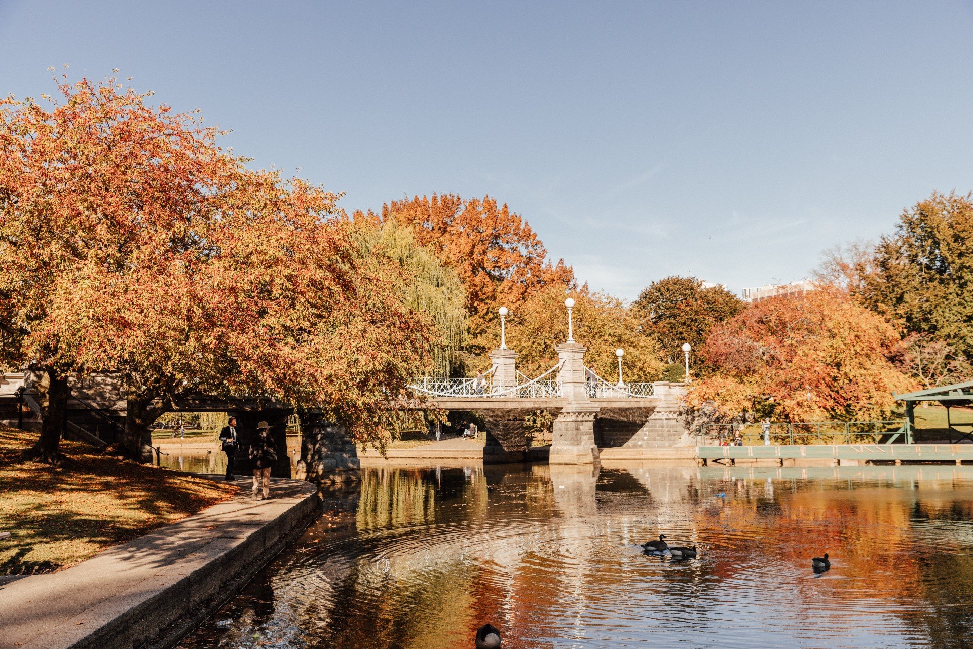 The Ultimate Guide to Boston Photoshoot Locations - Hannah Lozano ...